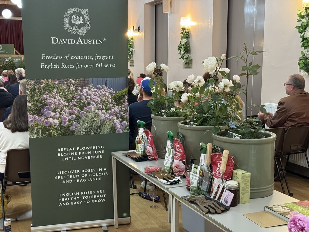 An Evening with David Austin Roses