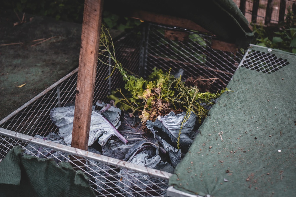 Making Your Own Compost | Cowell's Garden Centre