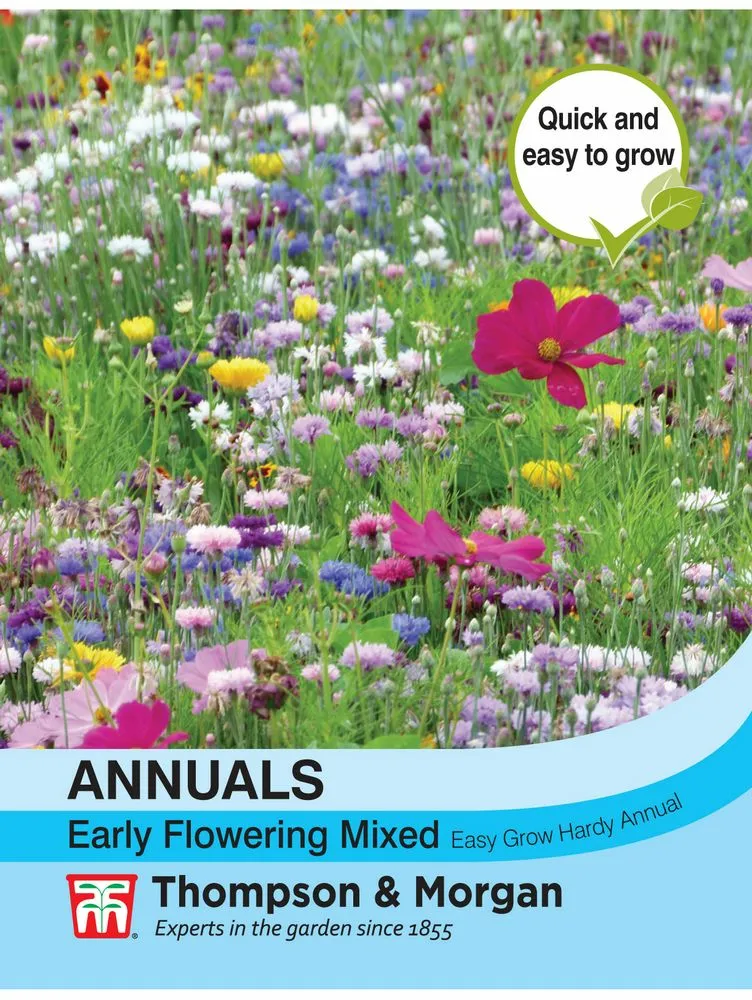 Annual Early Flowering Mixed Seeds - Cowell's Garden Centre | Woolsington
