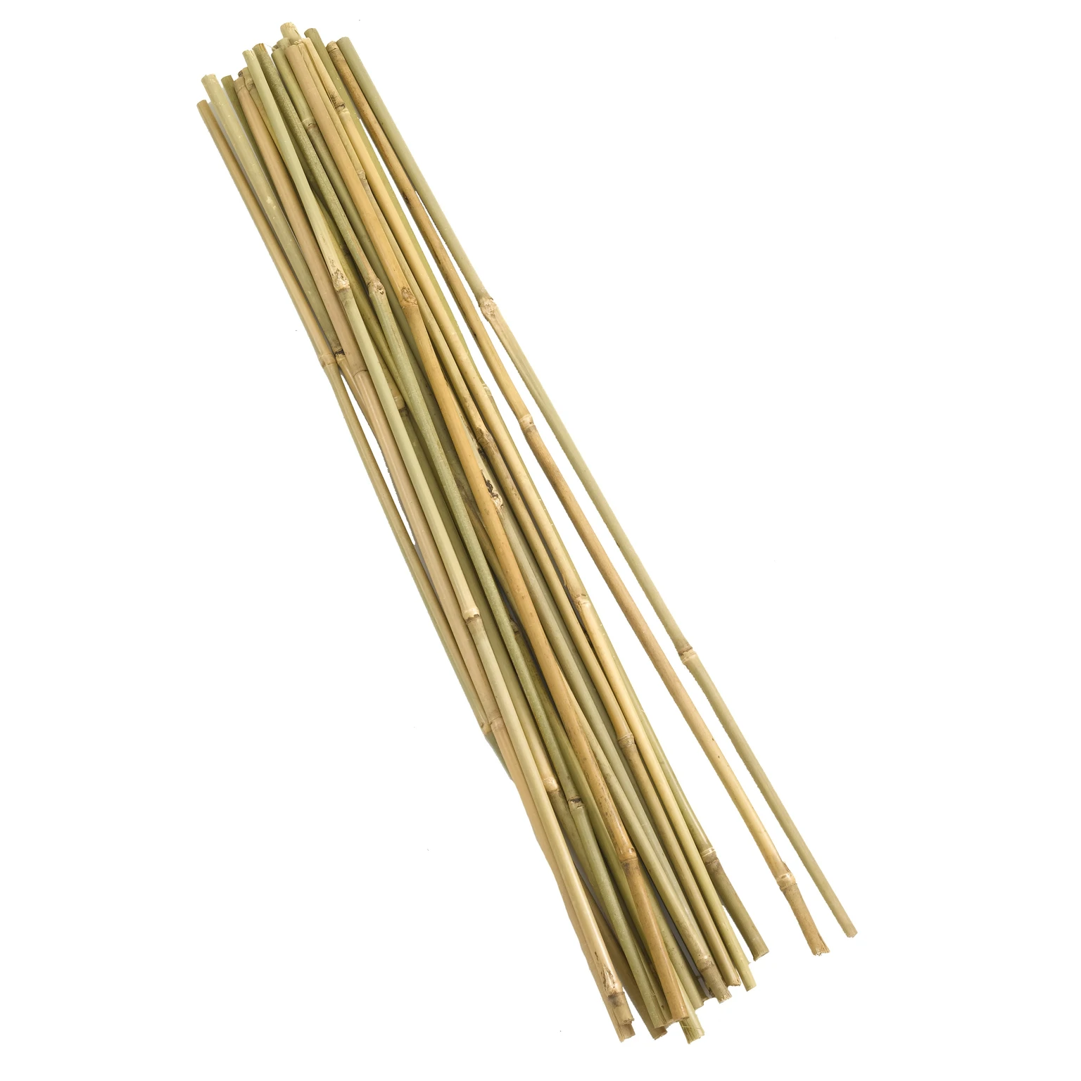Bamboo Cane Bundle - 120cm - Cowell's Garden Centre | Woolsington