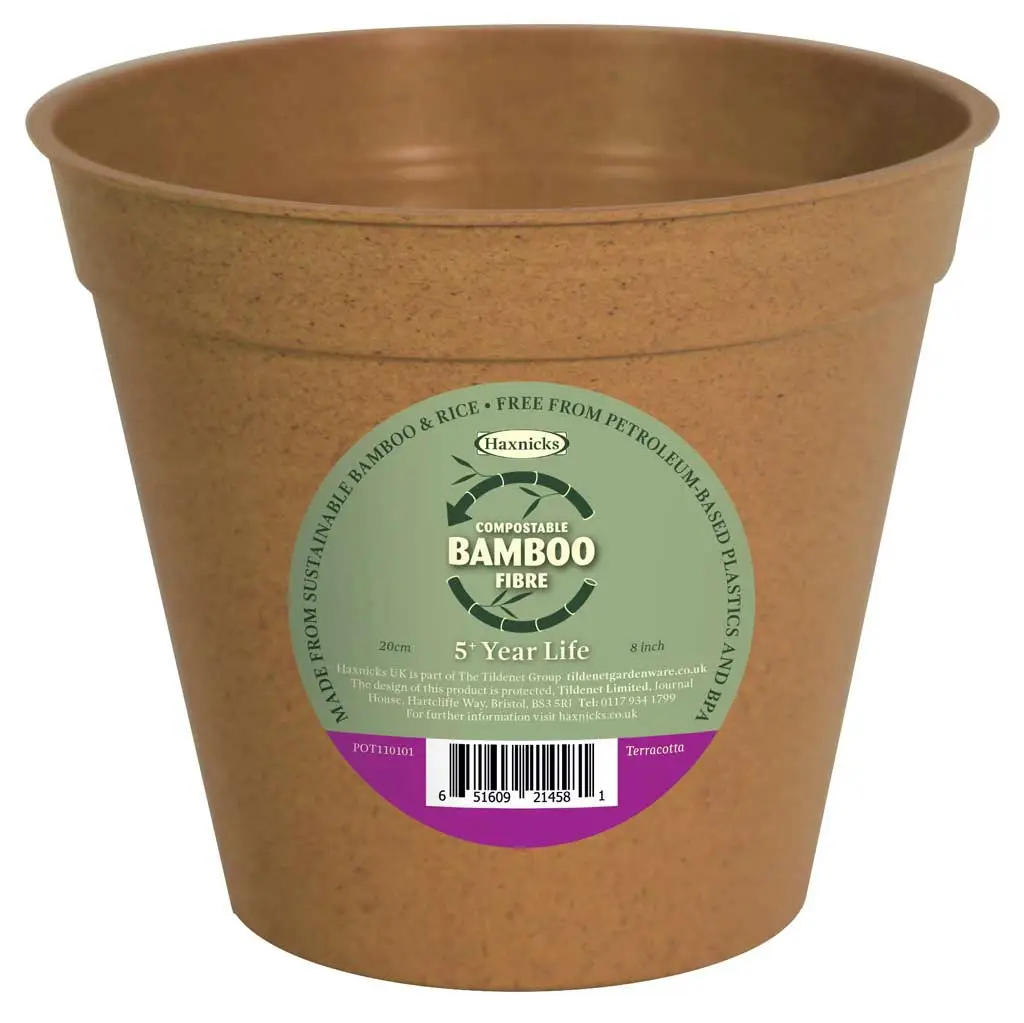 Bamboo Pot 8" Terracotta - Cowell's Garden Centre | Woolsington