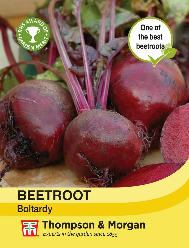 Beetroot Boltardy Seeds - Cowell's Garden Centre | Woolsington