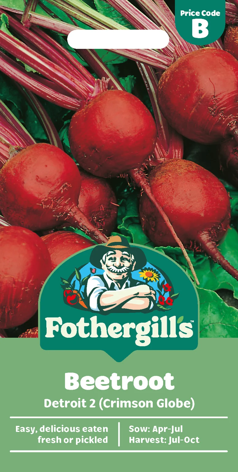 Beetroot Detroit 2 (Crimson Globe) Seeds - Cowell's Garden Centre ...