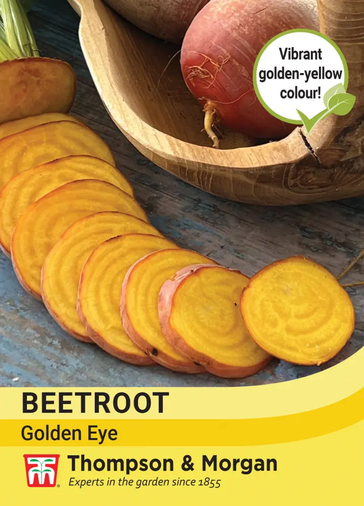 Beetroot Golden Eye - Cowell's Garden Centre | Woolsington