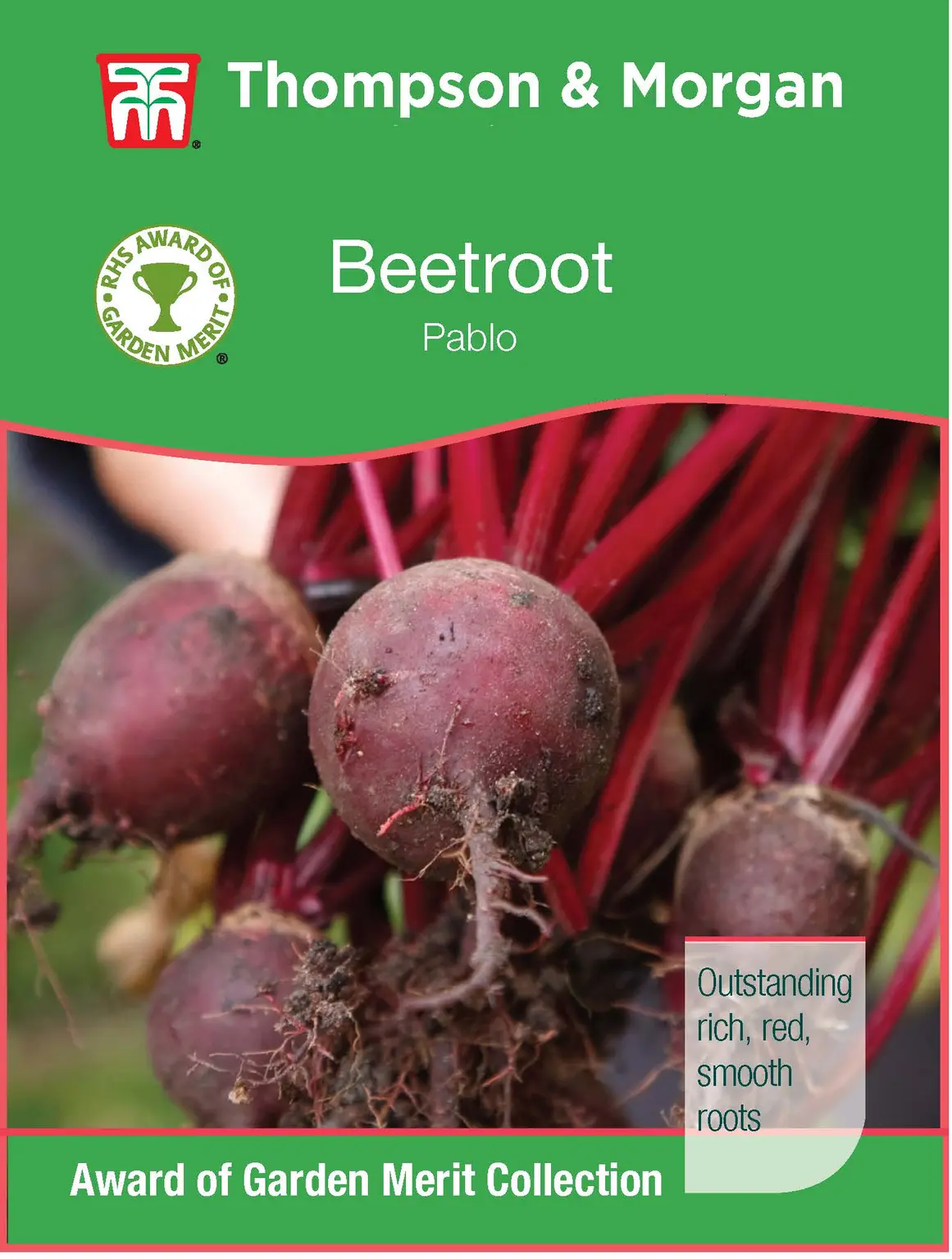 Beetroot Pablo - Cowell's Garden Centre | Woolsington