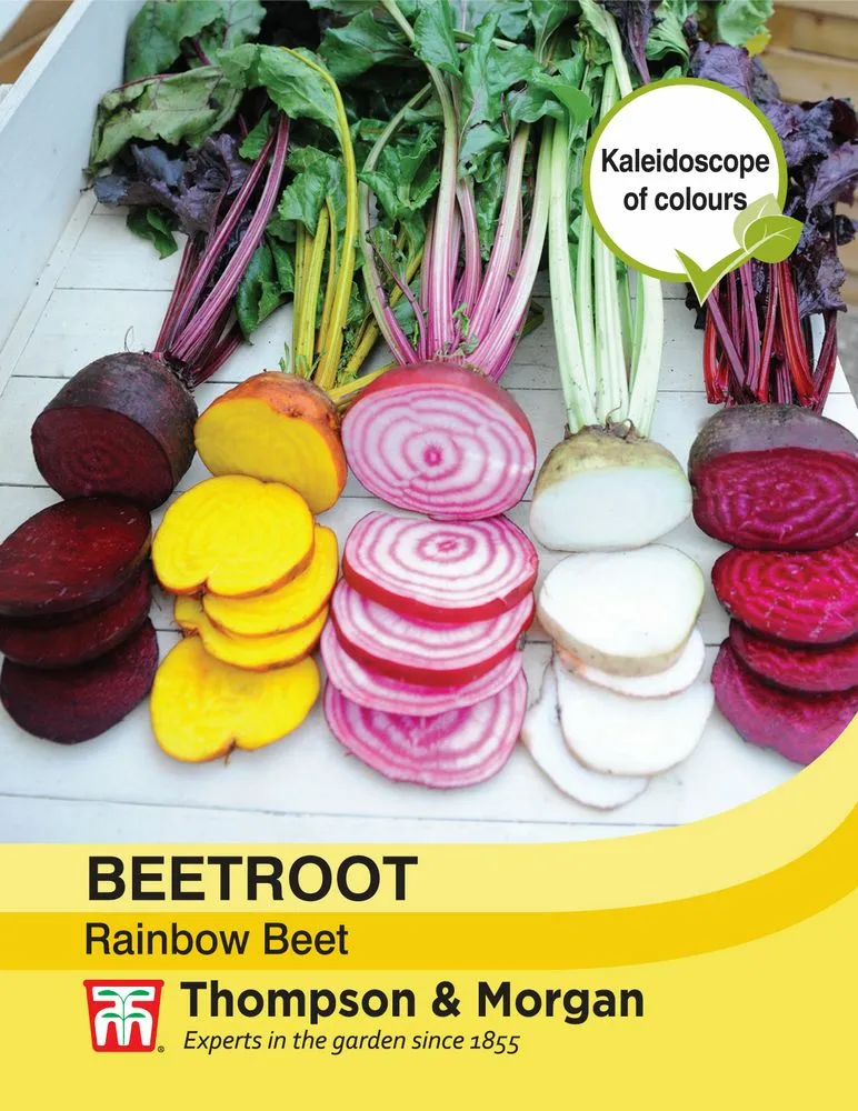 Beetroot Rainbow Beet - Cowell's Garden Centre | Woolsington
