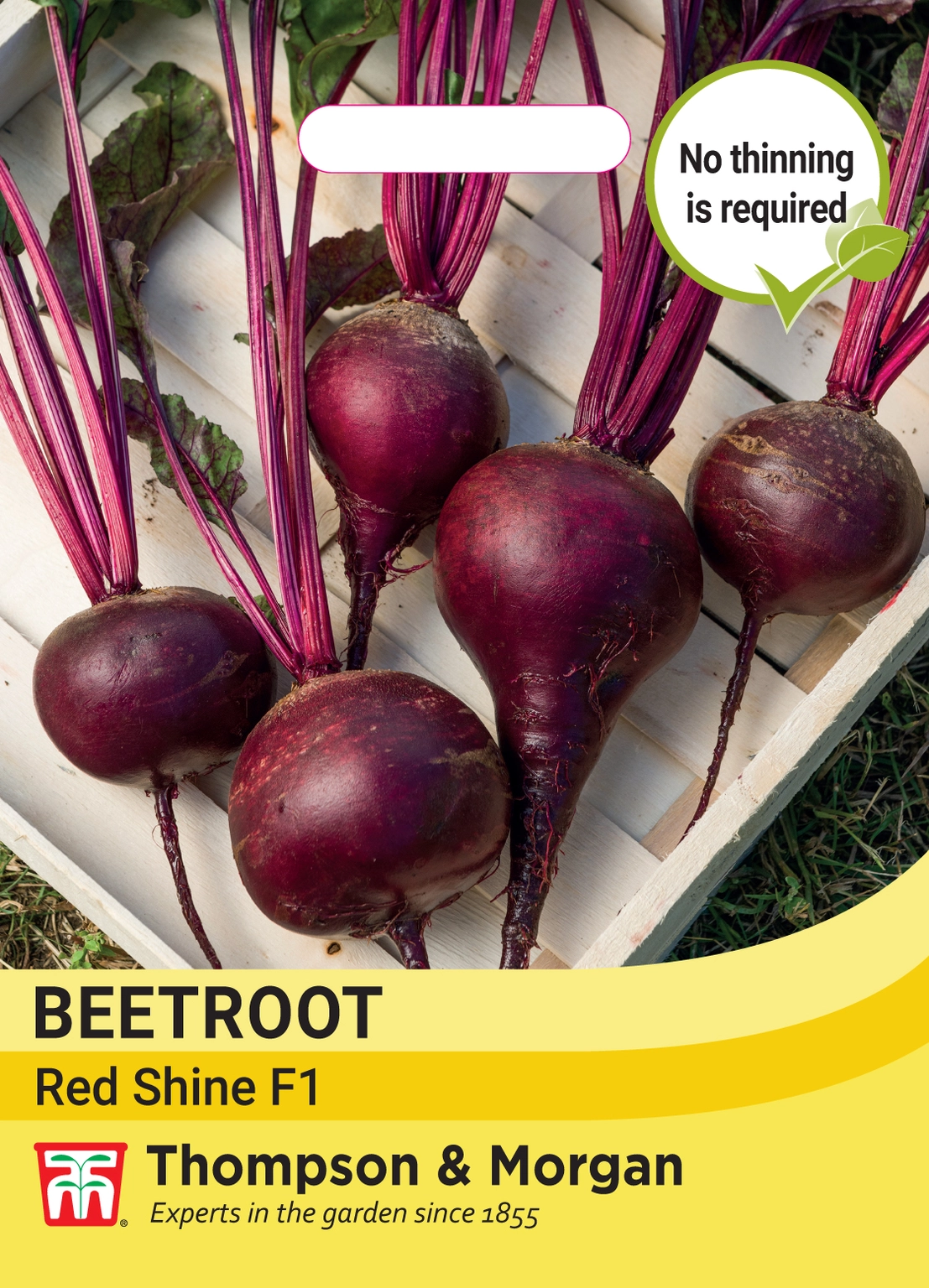 Beetroot Red Shine F1 - Cowell's Garden Centre | Woolsington