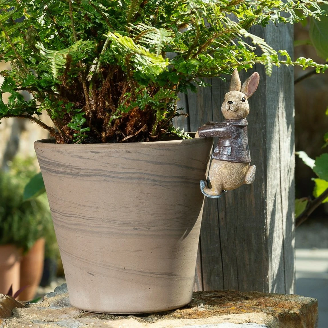 Benjamin Bunny Pot Buddy - Cowell's Garden Centre | Woolsington