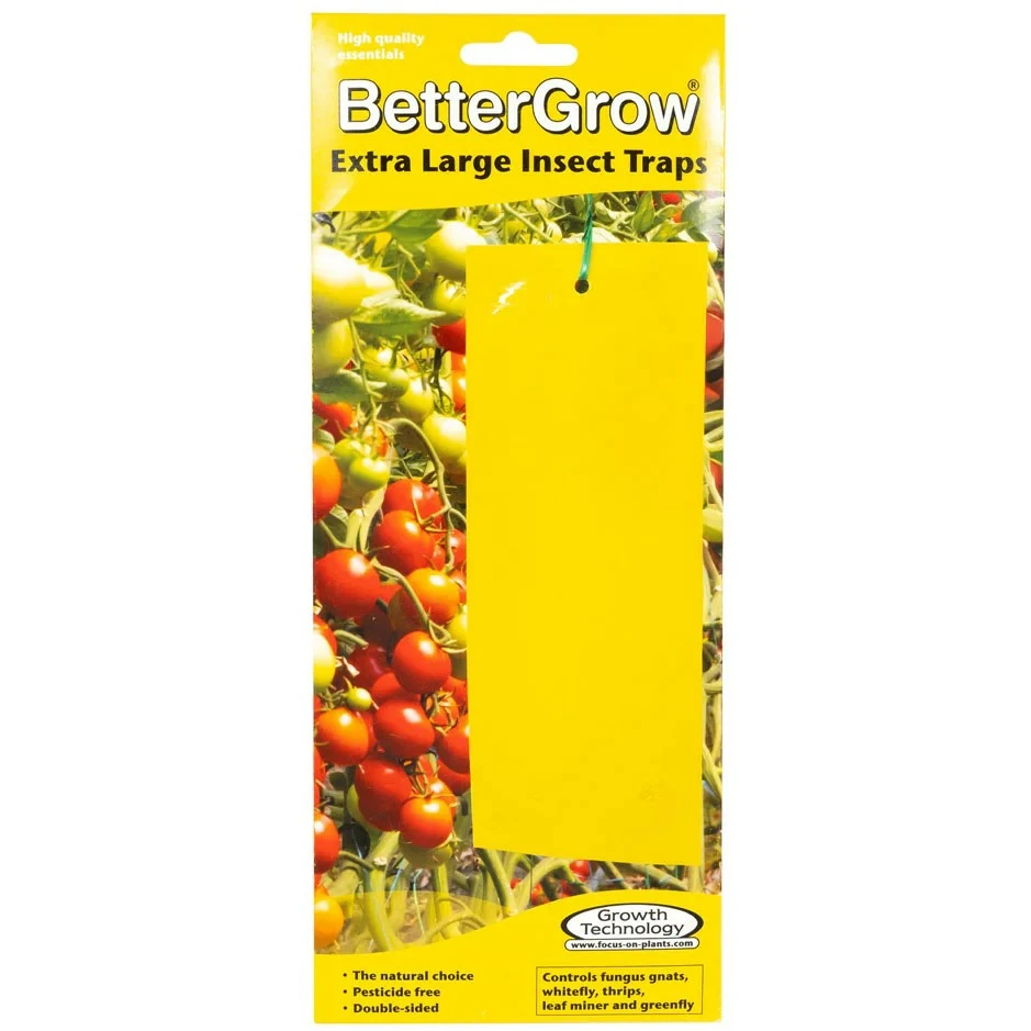 BetterGrow Houseplant Insect Traps - Extra Large - Cowell's Garden ...