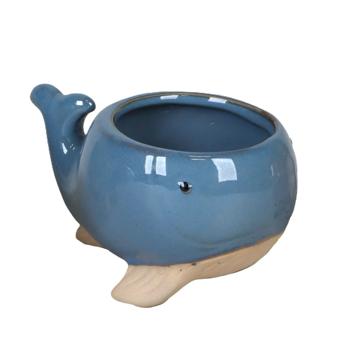 Blue Whale Pot - ⌀ 6cm - Cowell's Garden Centre | Woolsington