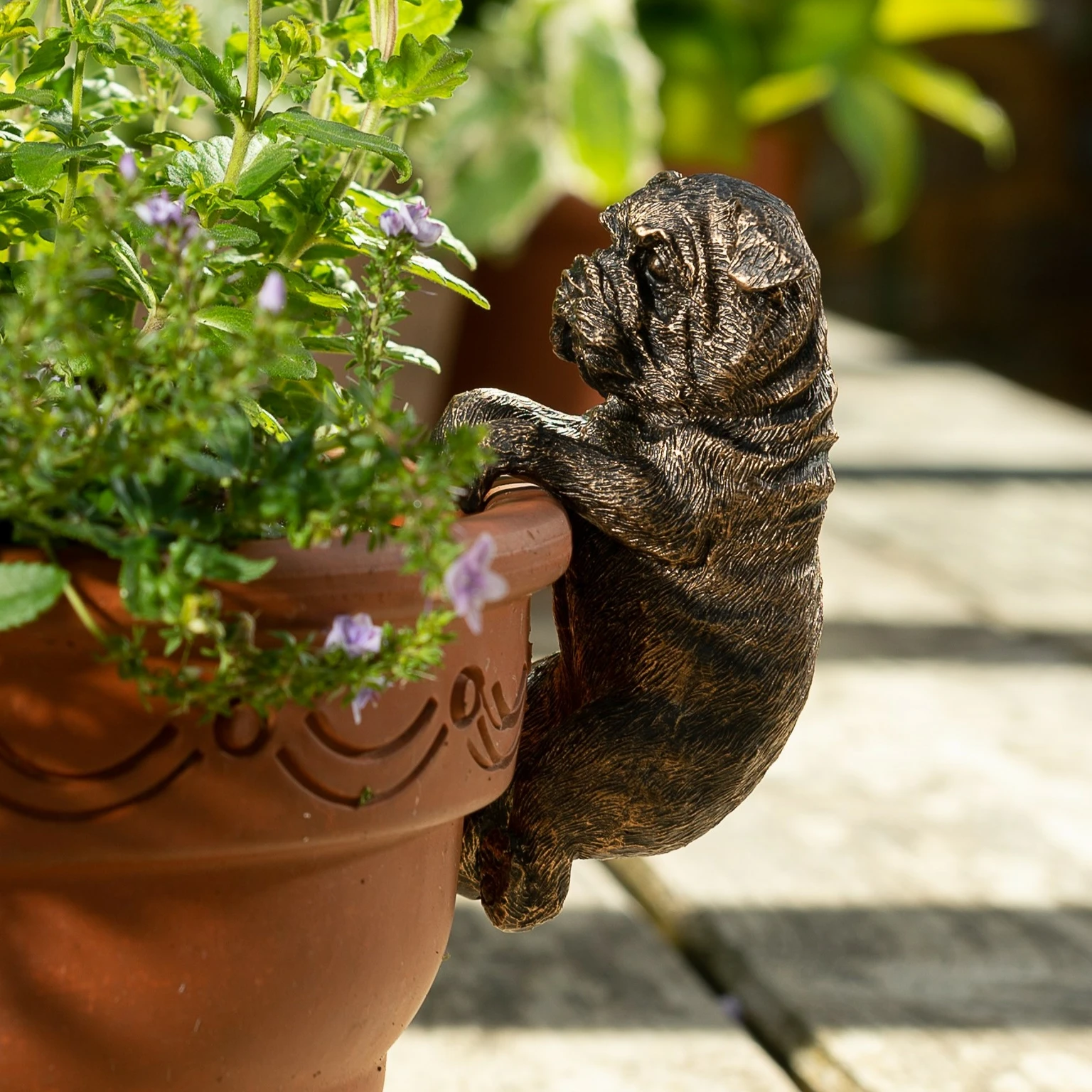 British Bulldog Pot Buddy - Cowell's Garden Centre | Woolsington