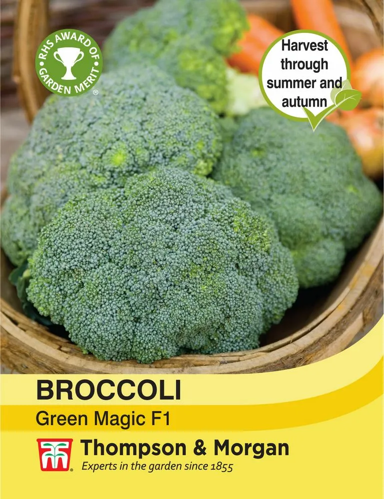 Broccoli Green Magic F1 - Cowell's Garden Centre | Woolsington