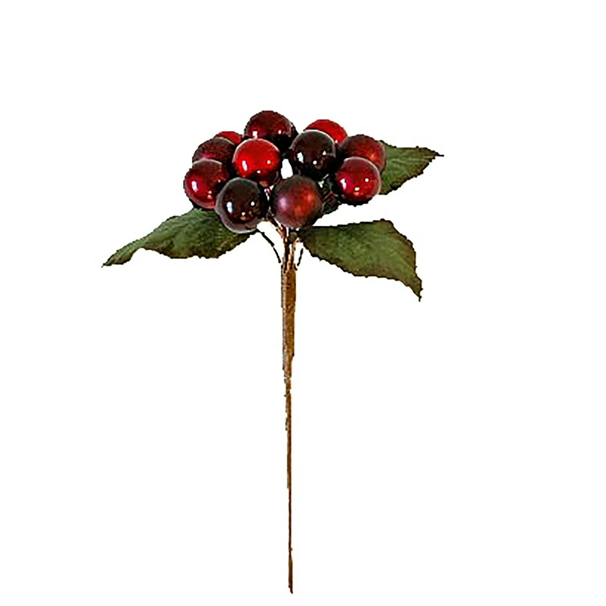 Bunched Berry Stem - Cranberry - Cowell's Garden Centre | Woolsington