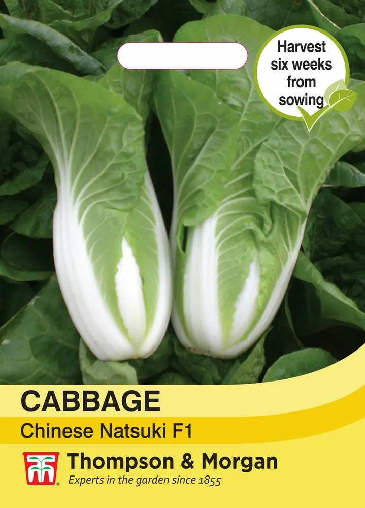 Cabbage Chinese Natsuki F1 Seeds - Cowell's Garden Centre | Woolsington