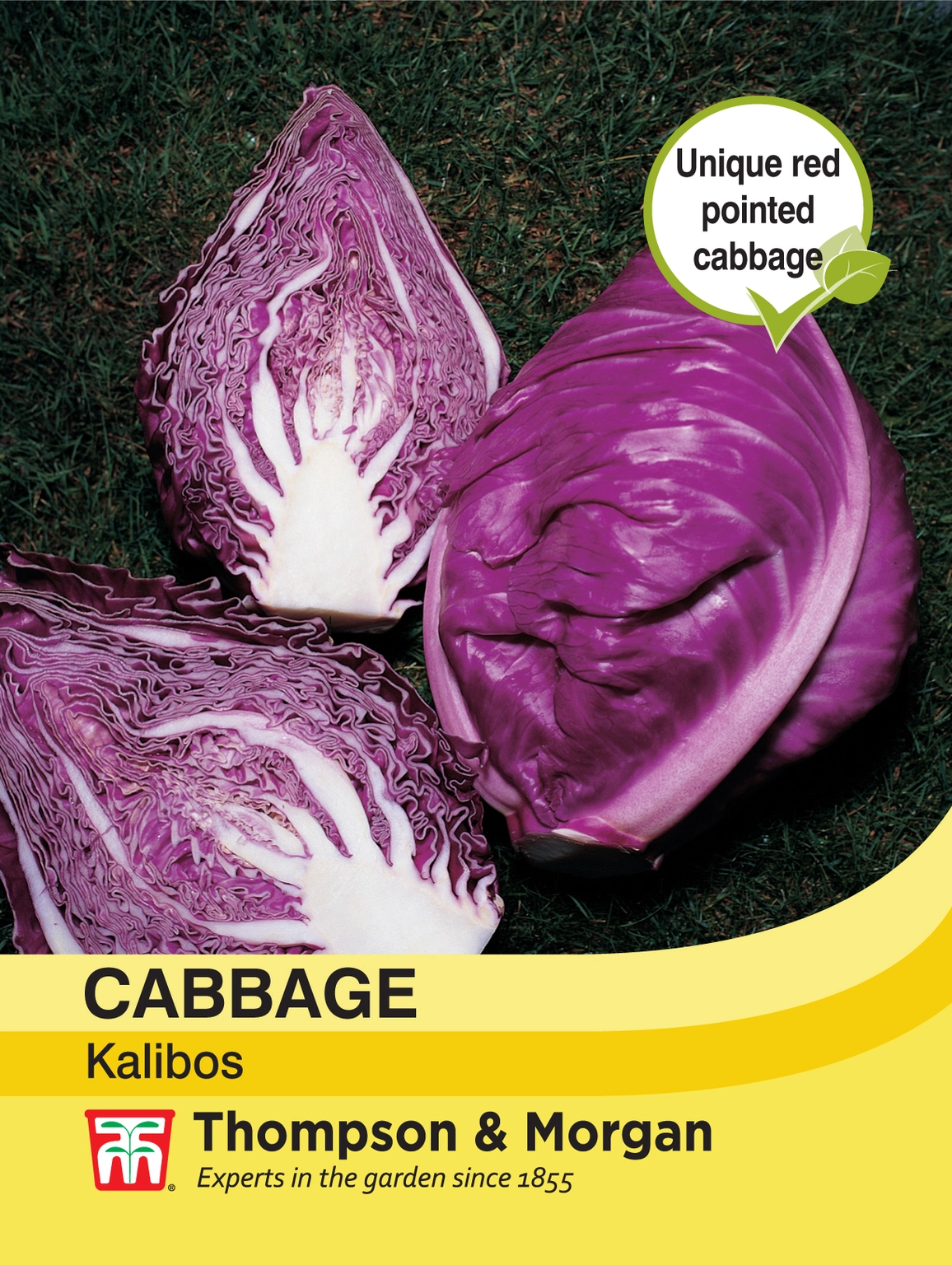 Cabbage Kalibos F1 - Cowell's Garden Centre | Woolsington