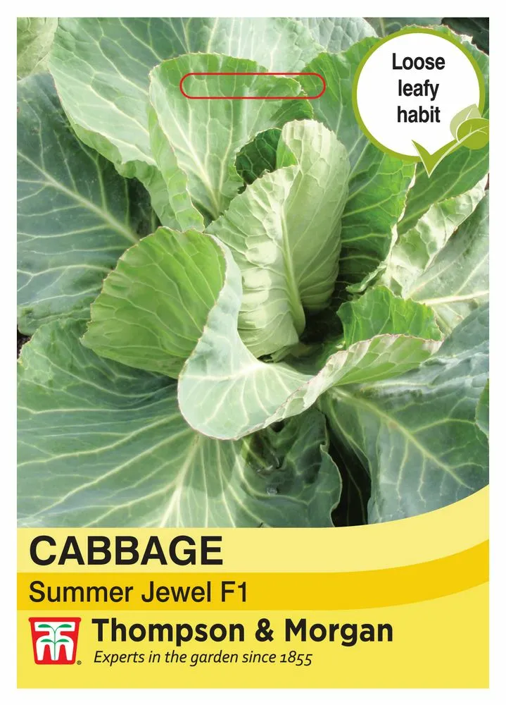 Cabbage Summer Jewel F1 Seeds - Cowell's Garden Centre | Woolsington