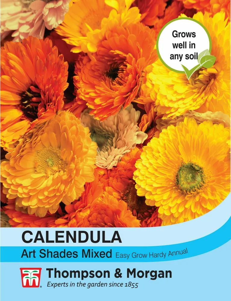 Calendula Art Shades Mixed - Cowell's Garden Centre | Woolsington