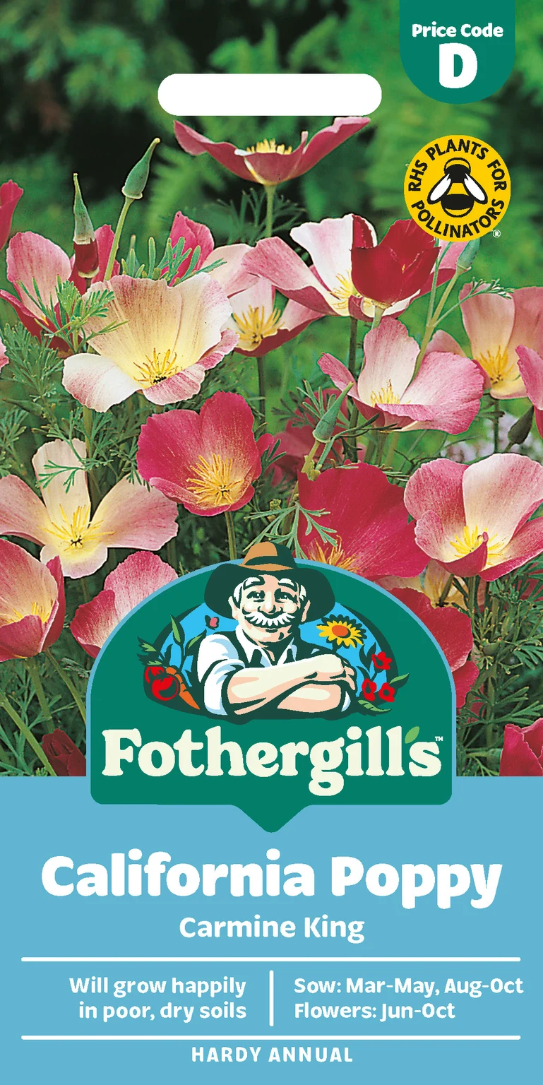 Californian Poppy Carmine King Seeds - Cowell's Garden Centre | Woolsington