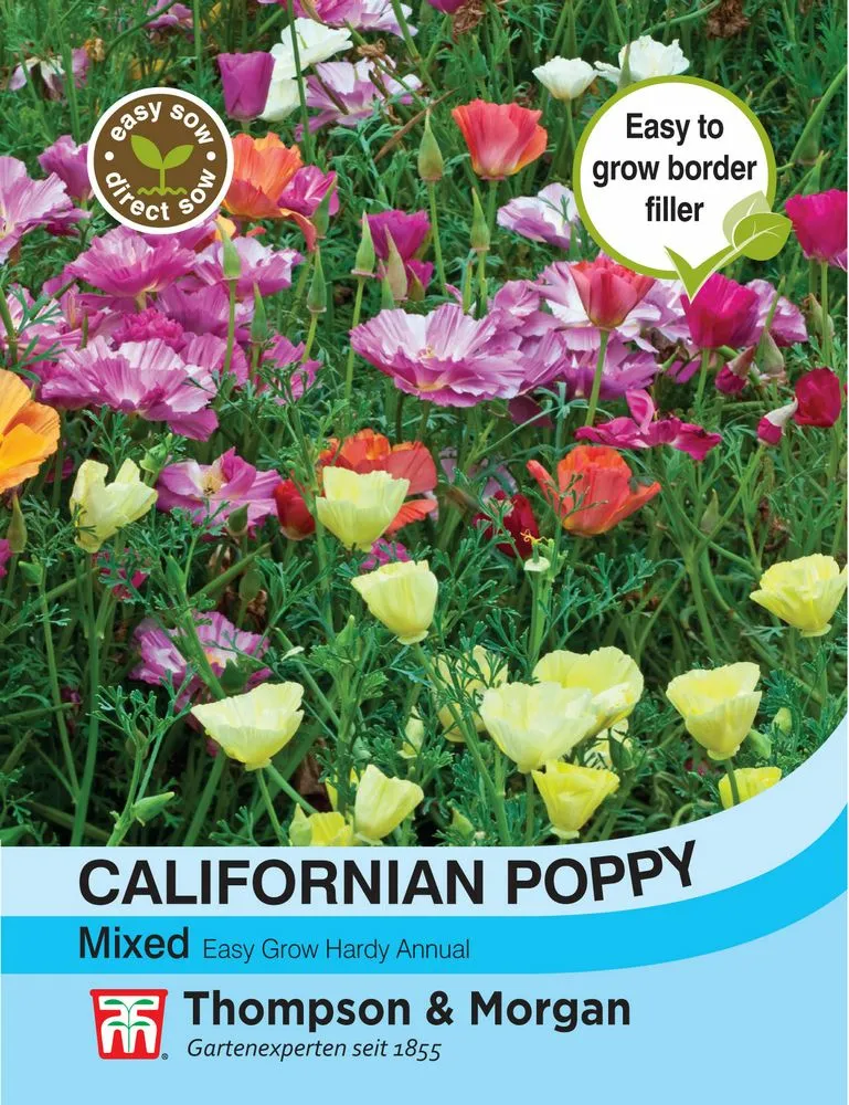 Californian Poppy Mixed - Cowell's Garden Centre | Woolsington