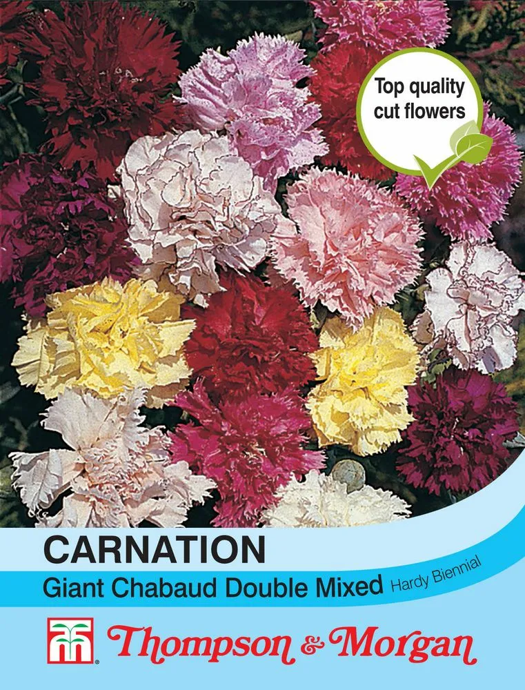 Carnation Giant Chabaud Double Mixed - Cowell's Garden Centre | Woolsington