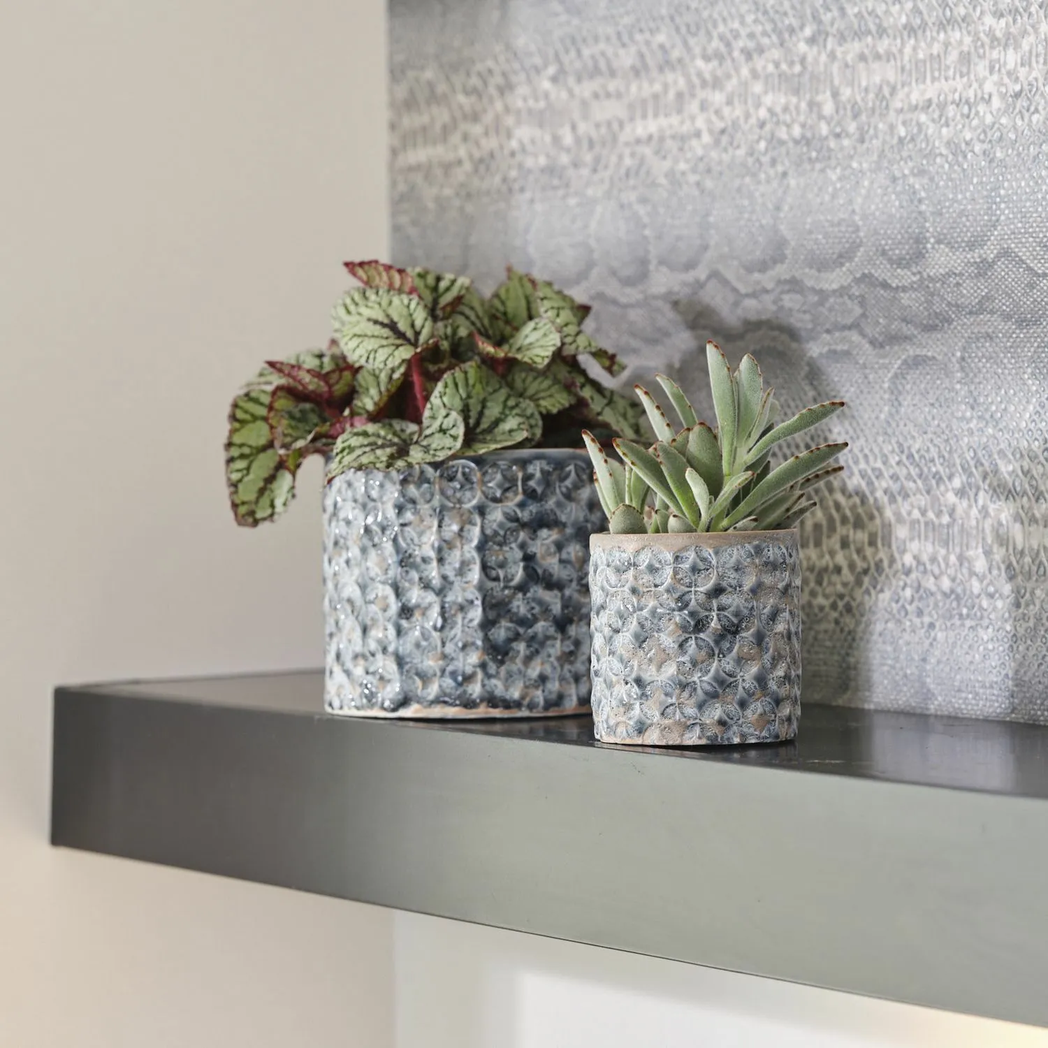 Ivyline Terni Denim Planter Ø7cm - Cowell's Garden Centre | Woolsington