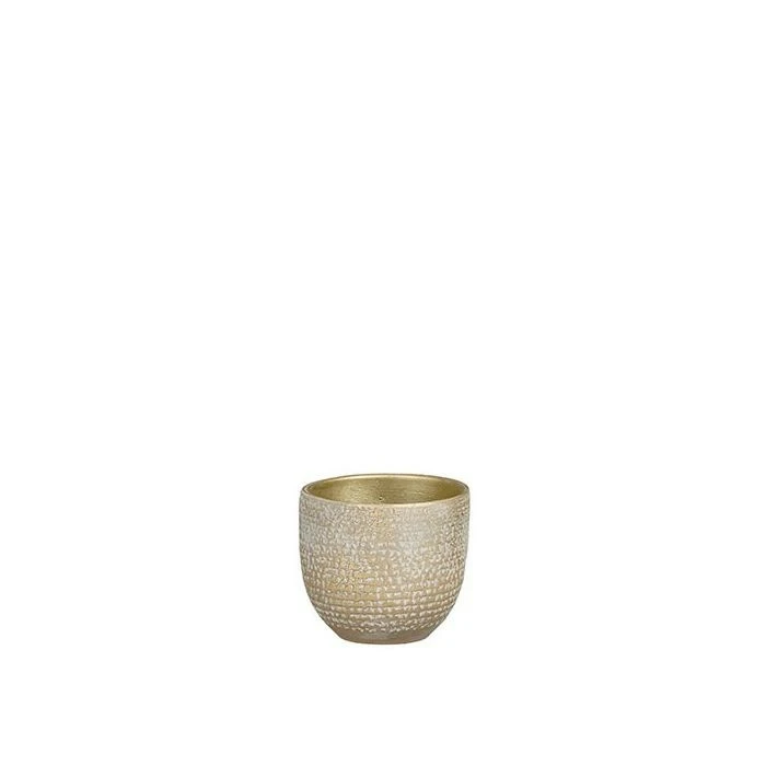 Carrie Champagne Pot - Ø14cm - Cowell's Garden Centre | Woolsington
