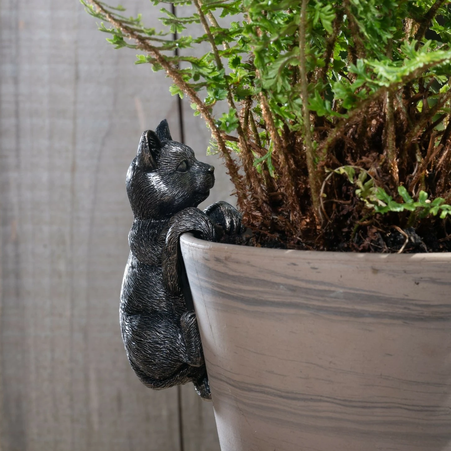 Cat Pot Buddy - Cowell's Garden Centre | Woolsington