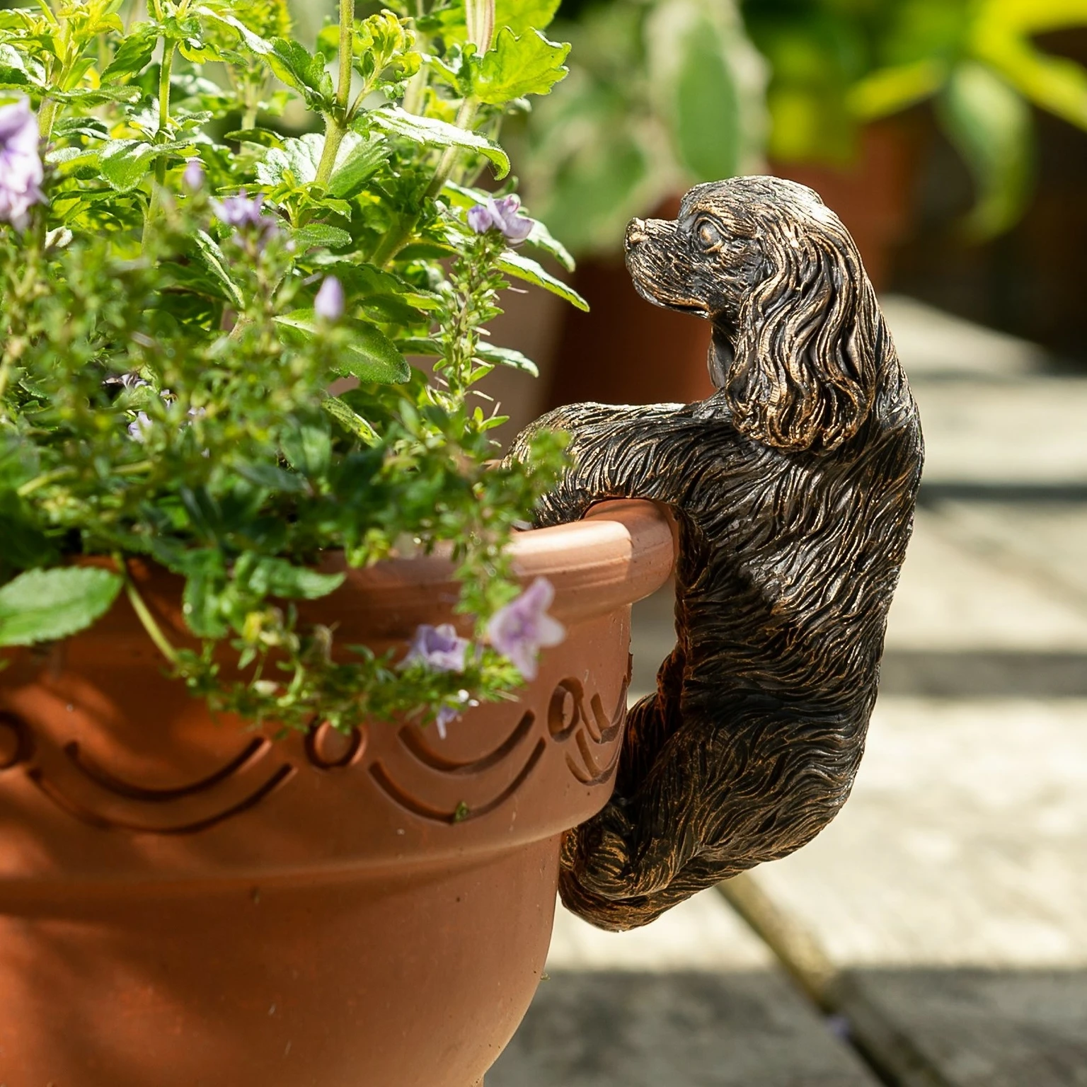 Cavalier King Charles Spaniel Pot Buddy - Cowell's Garden Centre ...