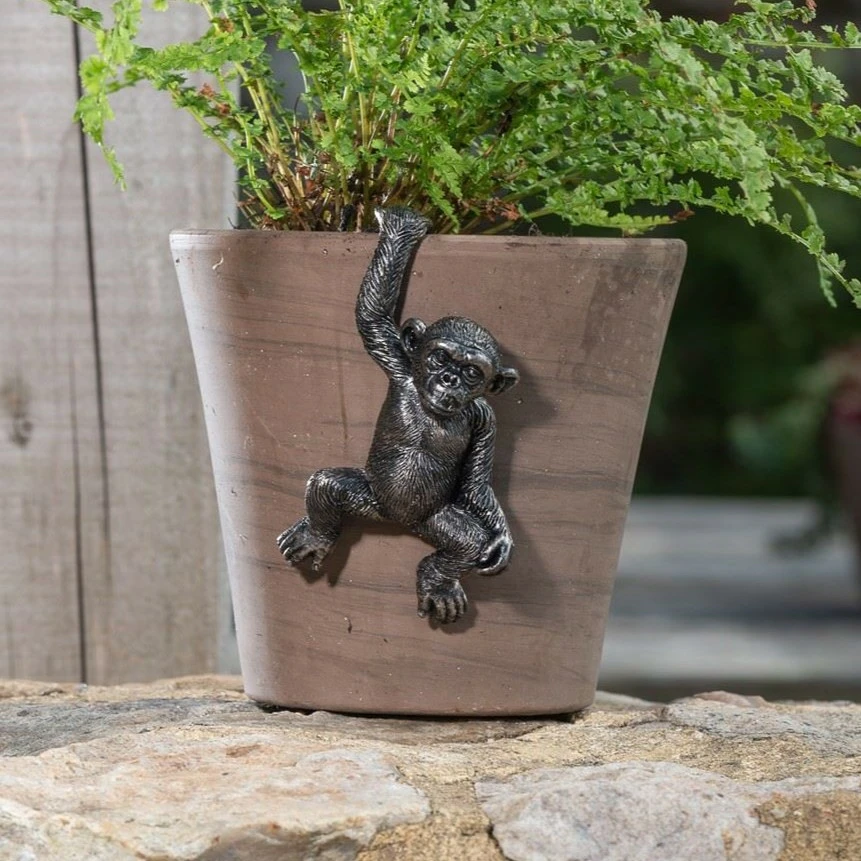 Chimpanzee Pot Buddy - Cowell's Garden Centre | Woolsington