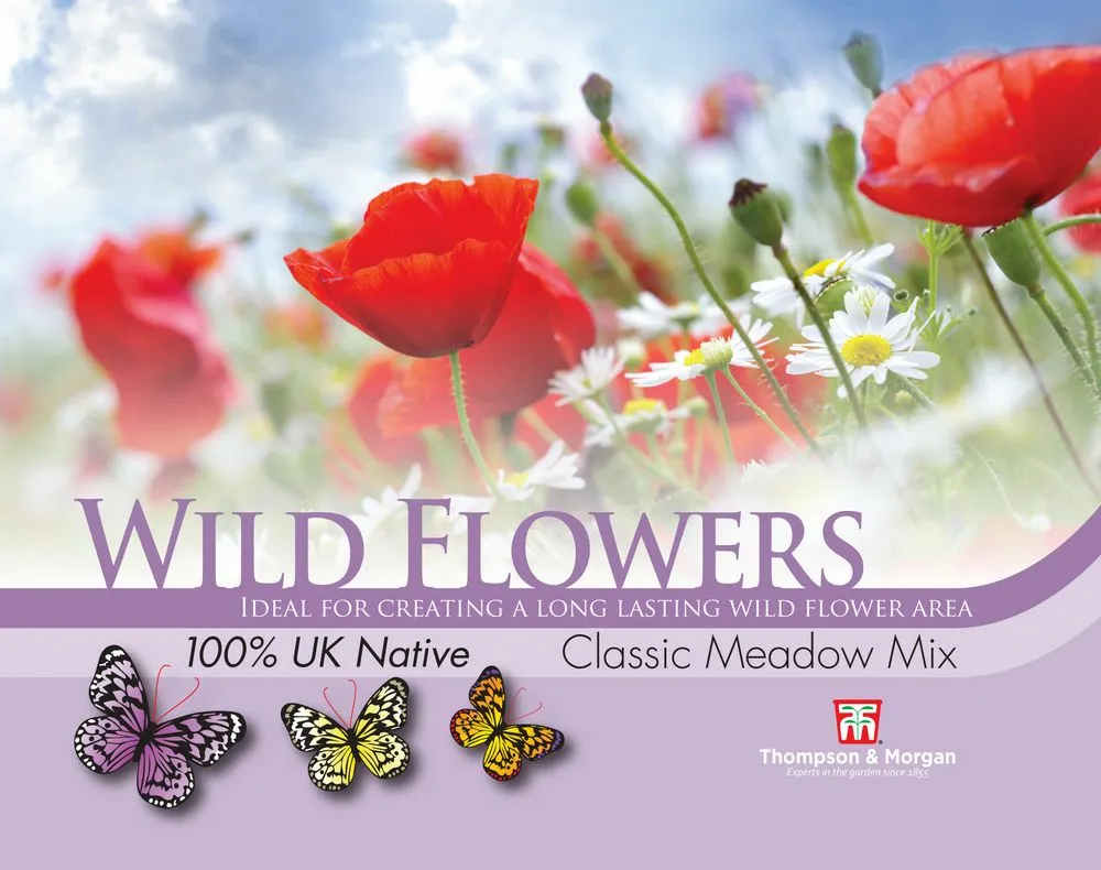 Classic Meadow Wildflower Mix - Cowell's Garden Centre | Woolsington