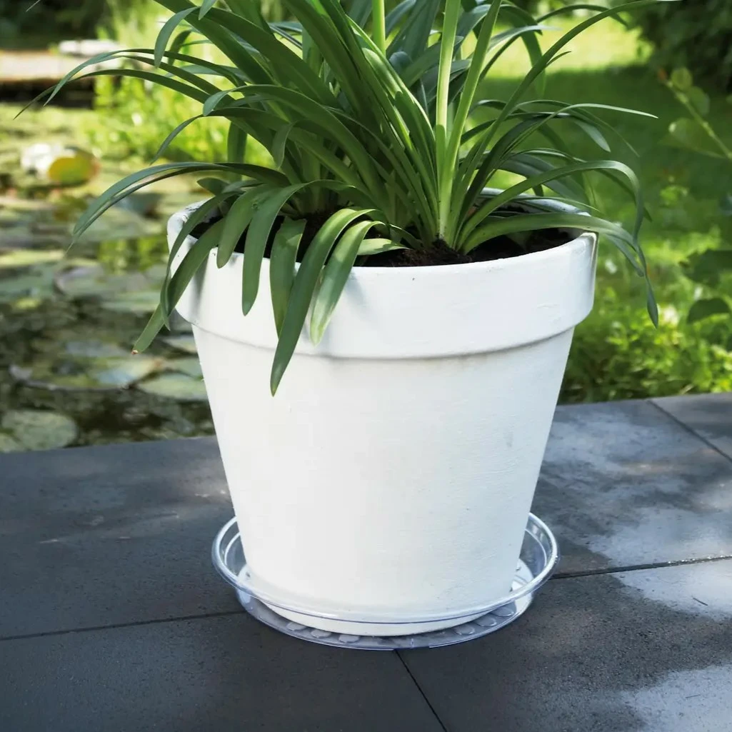 elho Clear Pot Saucer Ø18cm - Cowell's Garden Centre | Woolsington