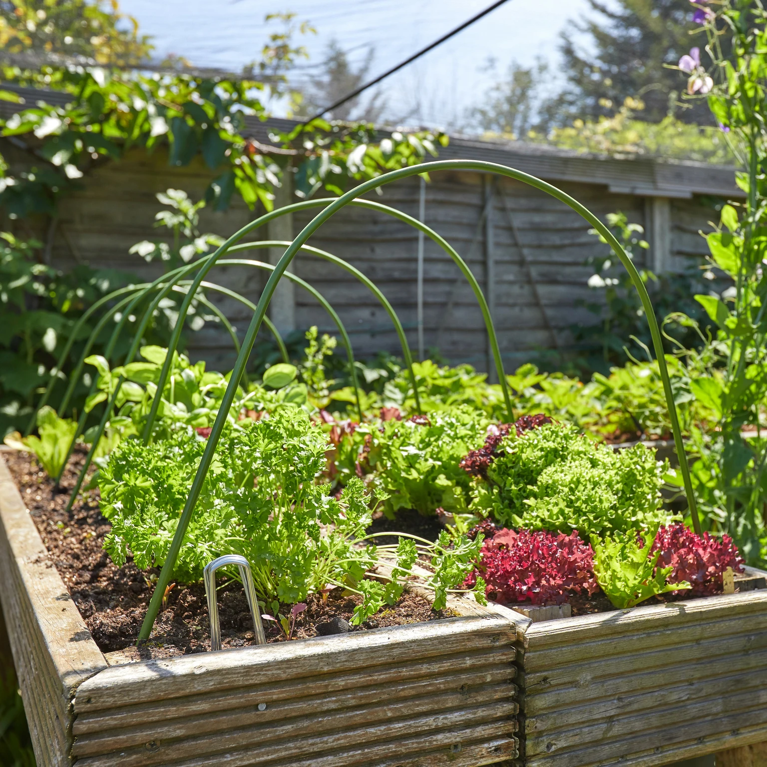 Cloche Hoop Set - Cowell's Garden Centre | Woolsington