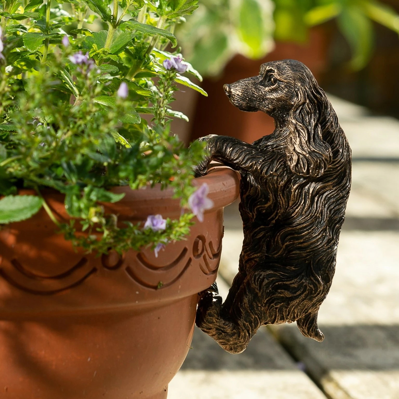 Cocker Spaniel Pot Buddy - Cowell's Garden Centre | Woolsington