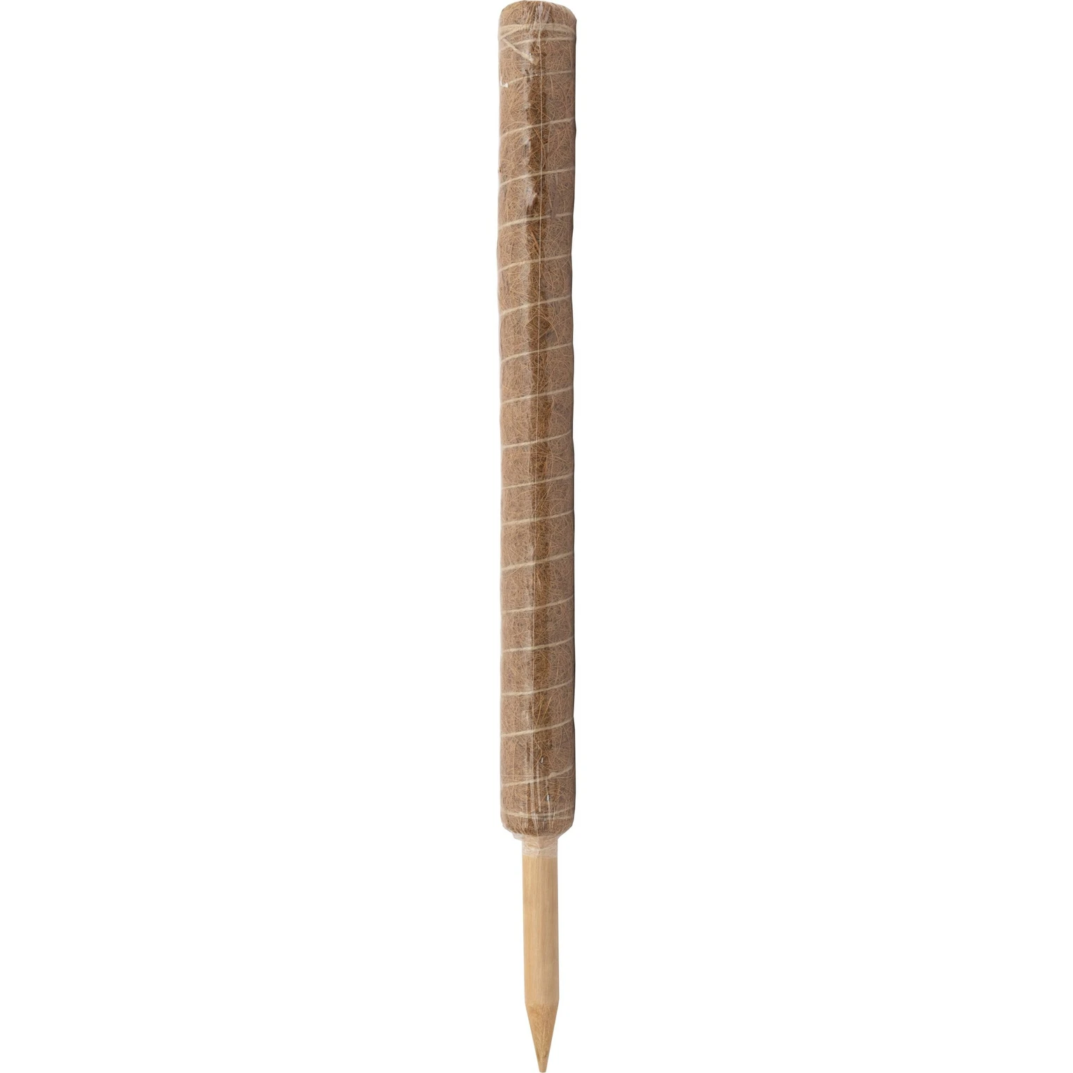 Coir Extendable Support Pole - 70cm - Cowell's Garden Centre | Woolsington
