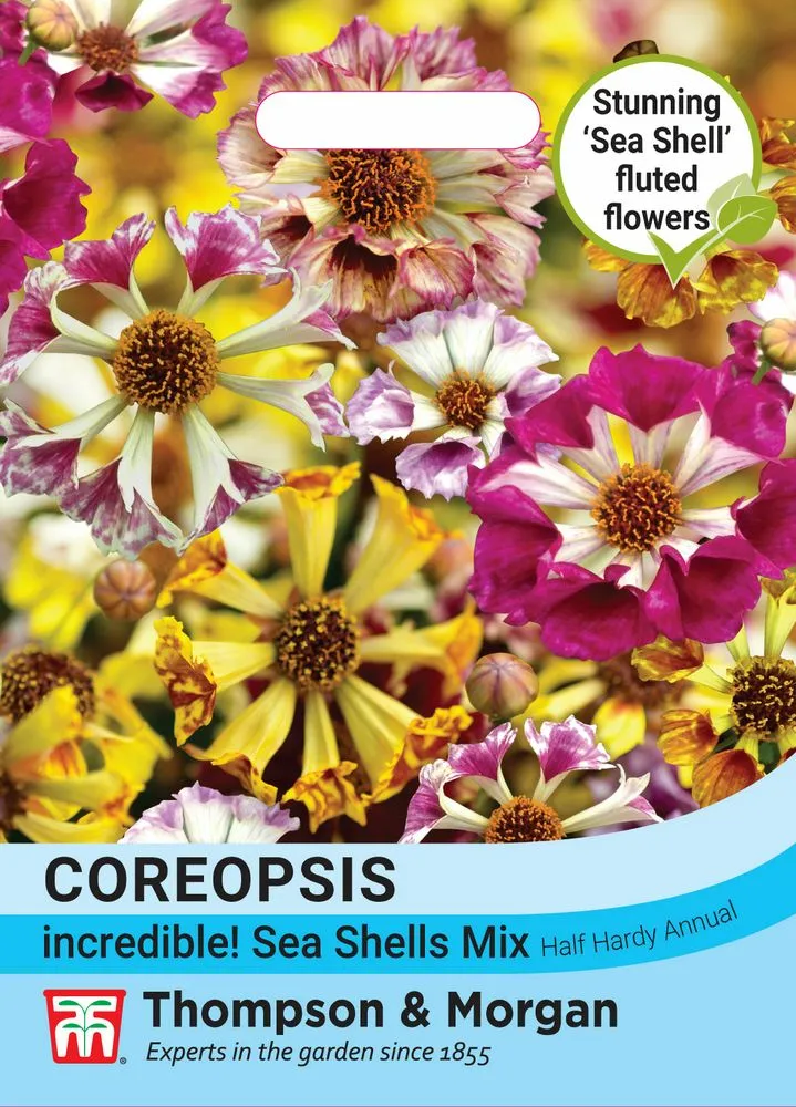 Coreopsis Incredible Sea Shells Mix - Cowell's Garden Centre | Woolsington