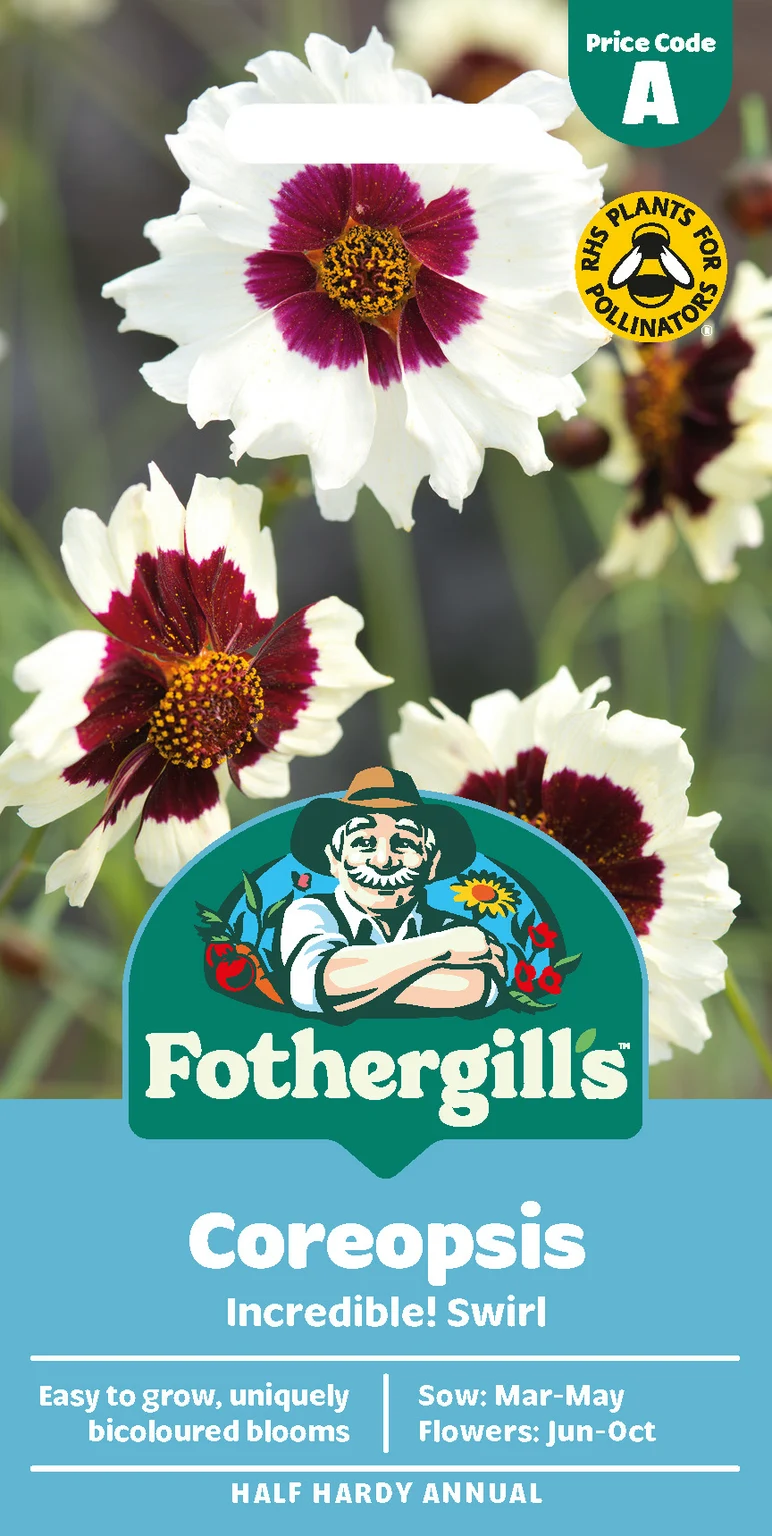 Coreopsis Incredible Swirl Seeds - Cowell's Garden Centre | Woolsington