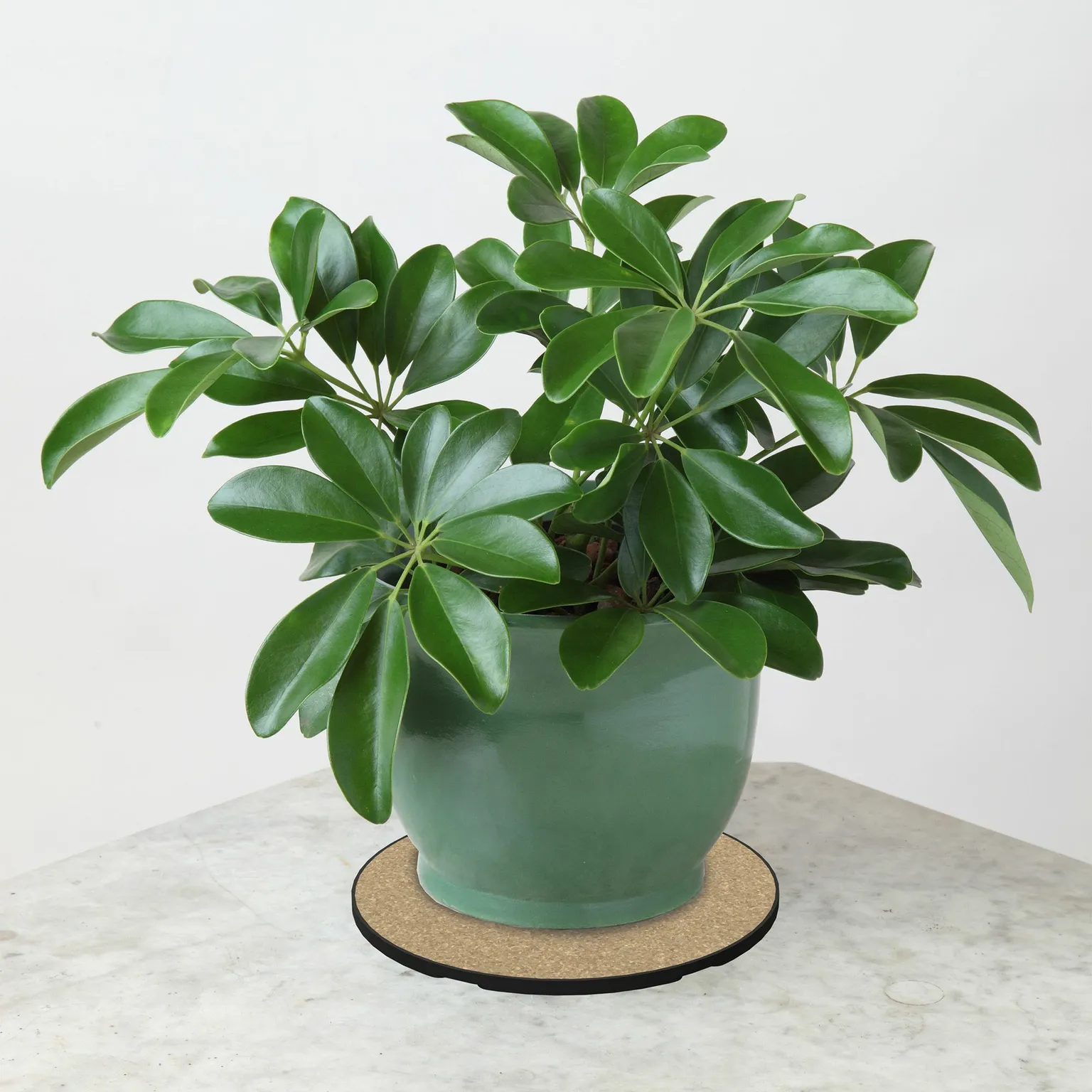 Cork Surface Protector 25cm - Cowell's Garden Centre | Woolsington