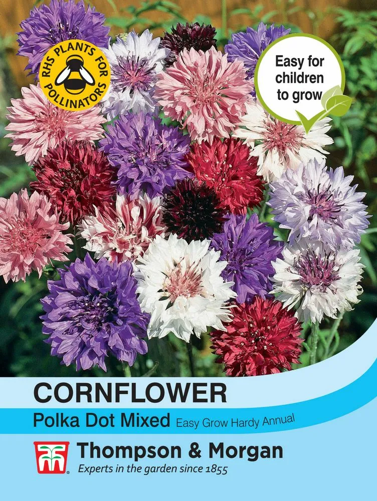 Cornflower Polka Dot Mixed Seeds - Cowell's Garden Centre | Woolsington
