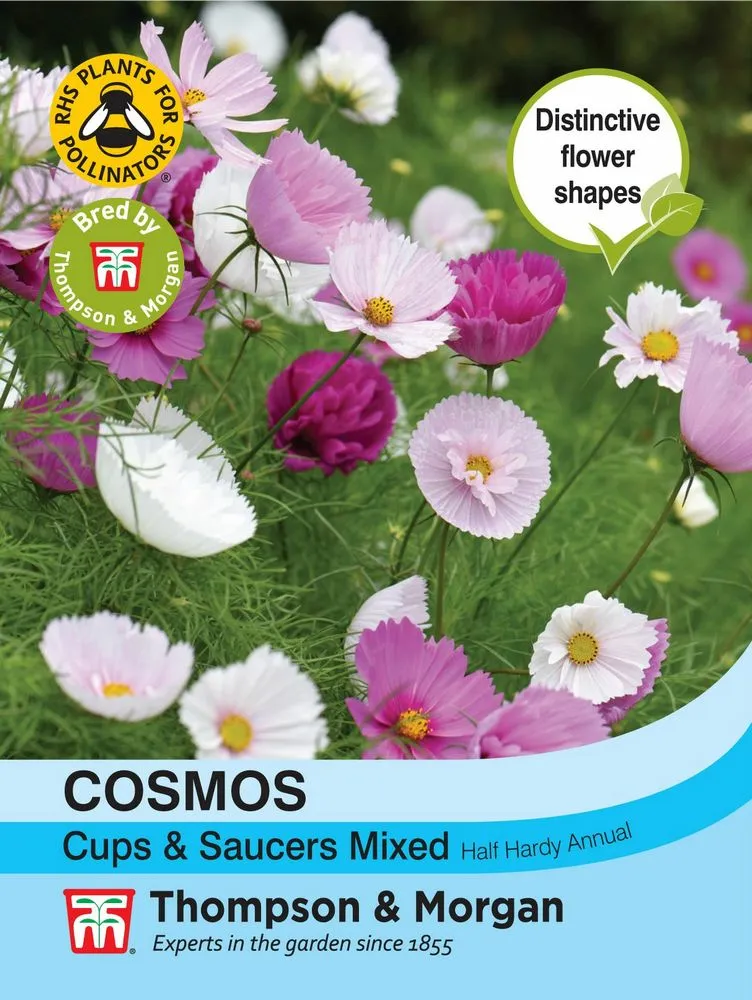 Cosmos Cups & Saucers Mixed Seeds - Cowell's Garden Centre | Woolsington