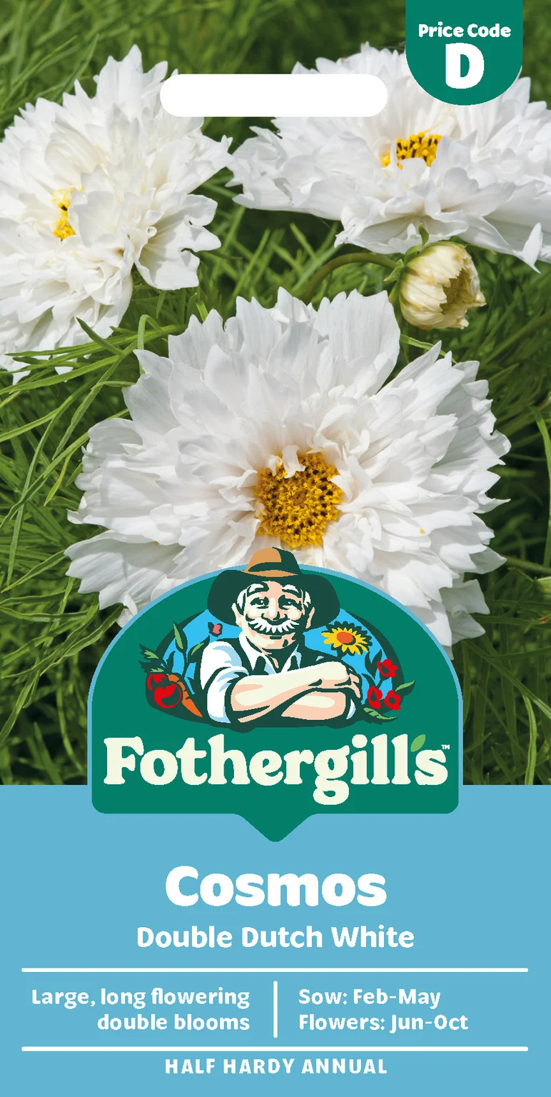 Cosmos Double Dutch White Seeds - Cowell's Garden Centre | Woolsington