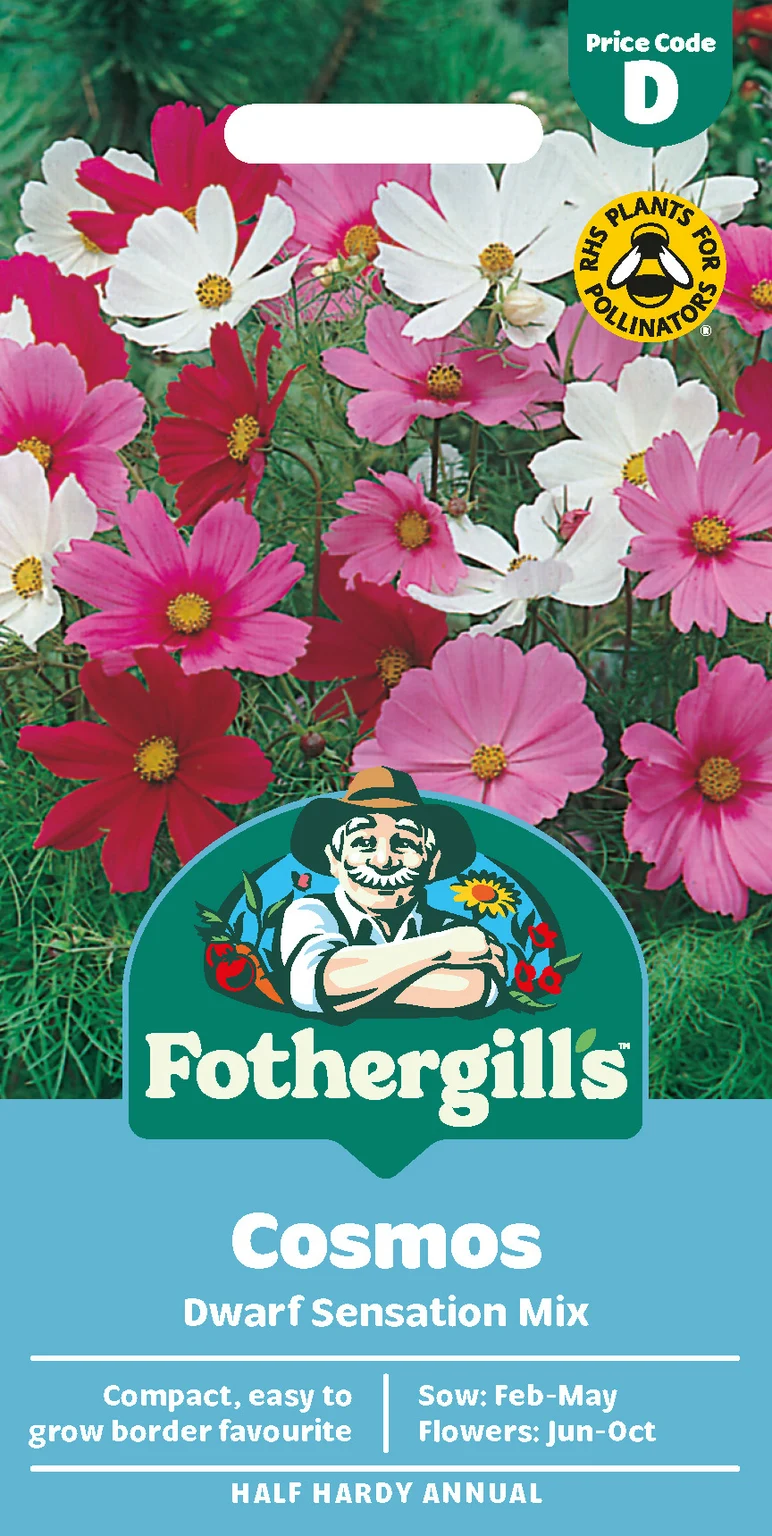 Cosmos Dwarf Sensation Mixed Seeds - Cowell's Garden Centre | Woolsington
