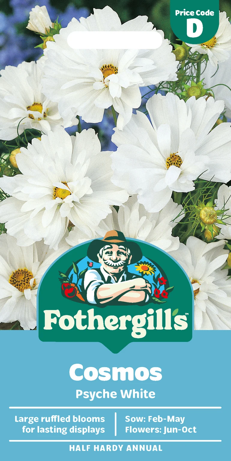 Cosmos Psyche White Seeds - Cowell's Garden Centre | Woolsington