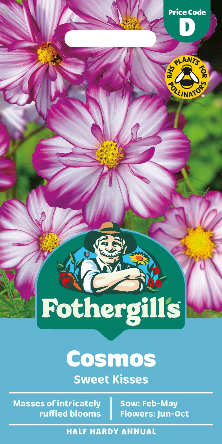 Cosmos Sweet Kisses Seeds - Cowell's Garden Centre | Woolsington
