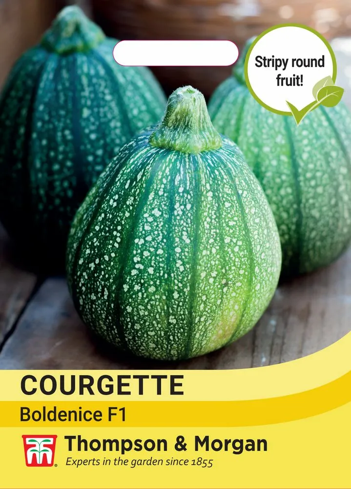 Courgette Boldenice F1 Seeds - Cowell's Garden Centre | Woolsington