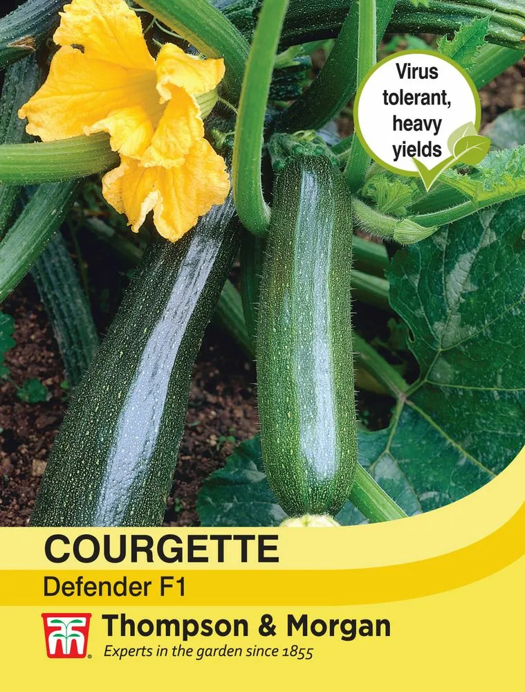 Courgette Defender F1 Seeds - Cowell's Garden Centre | Woolsington