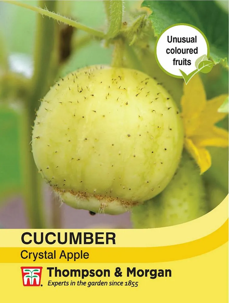 Cucumber Crystal Apple - Cowell's Garden Centre | Woolsington