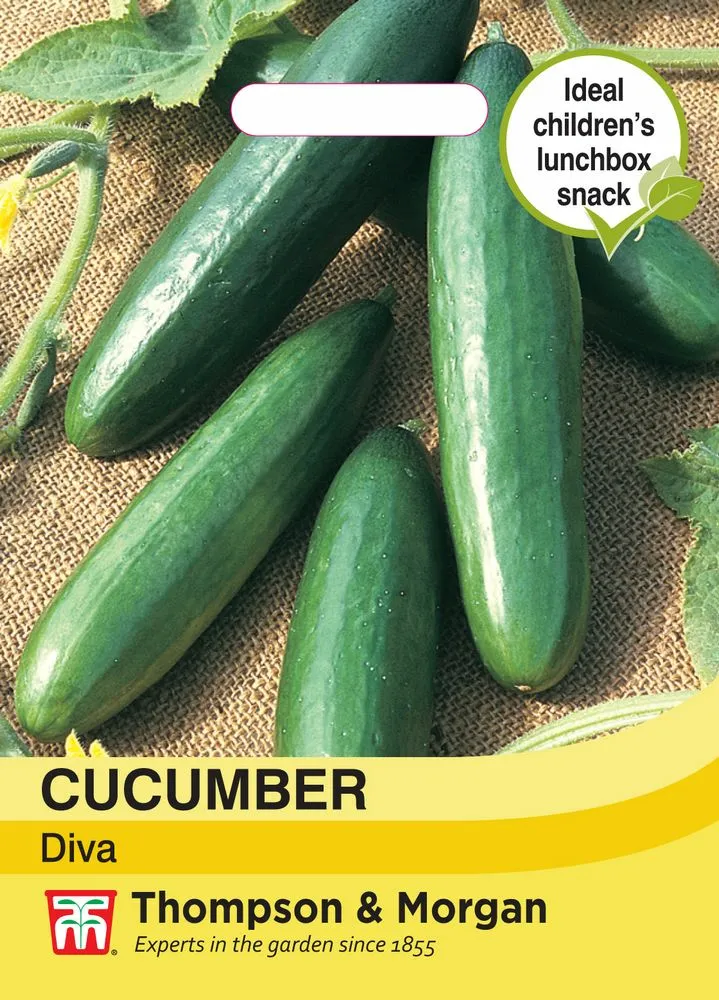 Cucumber Diva Seeds - Cowell's Garden Centre | Woolsington