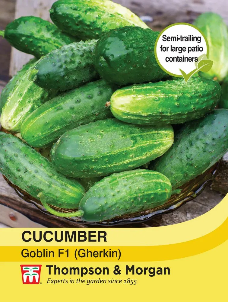 Cucumber (Gherkin) Goblin F1 - Cowell's Garden Centre | Woolsington