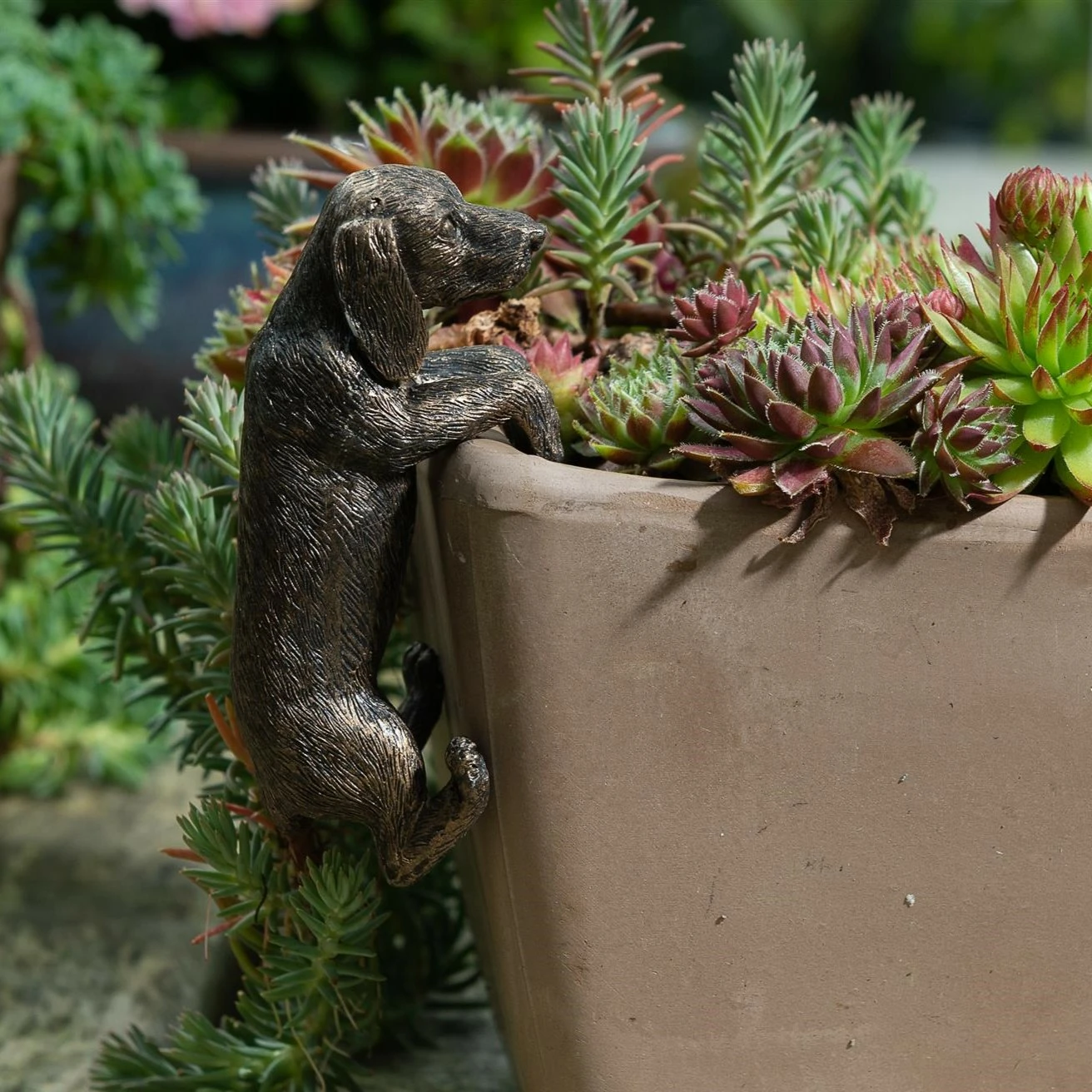 Dachshund Pot Buddy - Cowell's Garden Centre | Woolsington