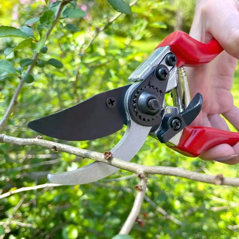 Darlac Professional Pruner - Cowell's Garden Centre | Woolsington